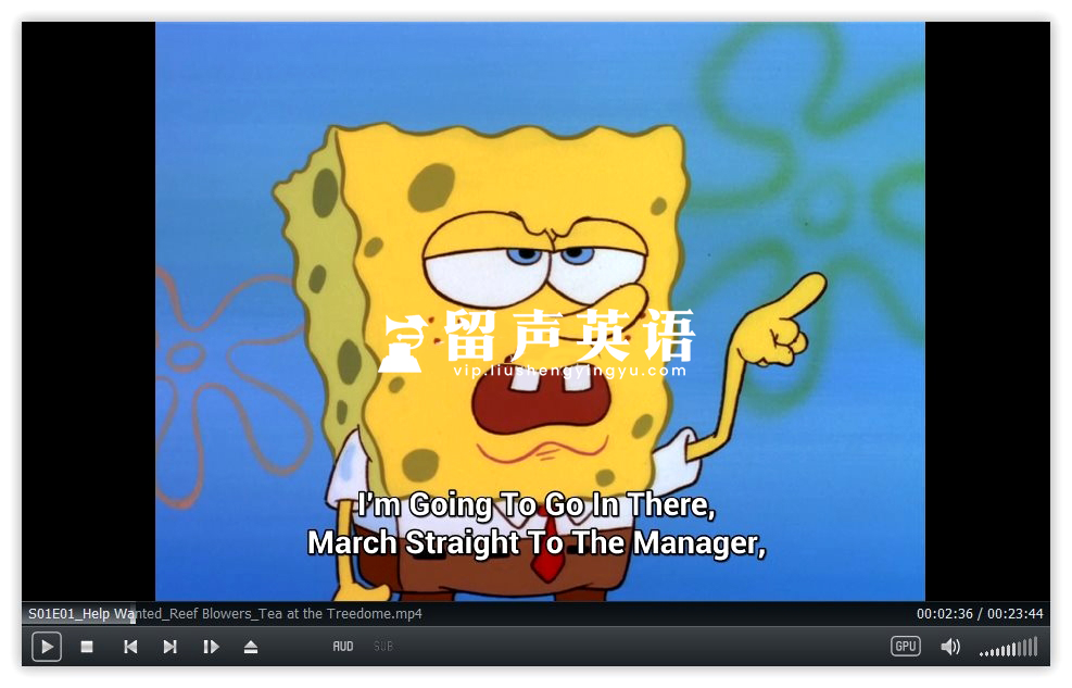 英文版《SpongeBob SquarePants 海绵宝宝》全1-15季共300集，高清视频带英文字幕，百度网盘下载！-留声英语